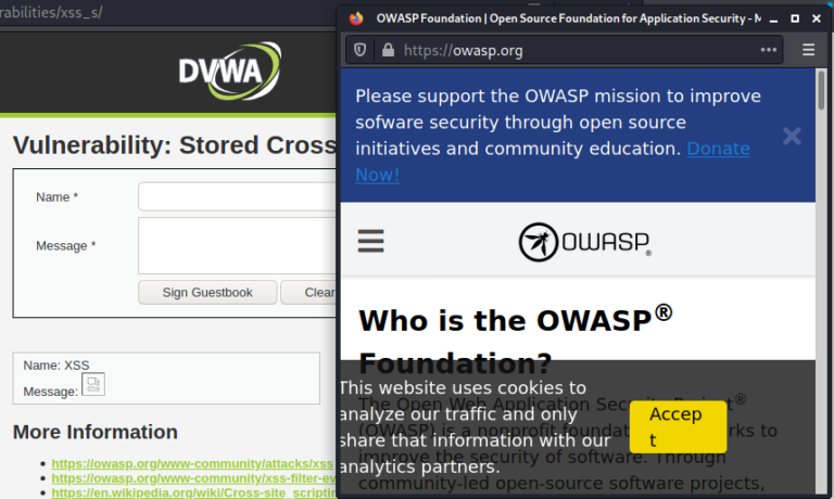 DVWA Ultimate Guide - First Steps and Walkthrough - Bug Hacking