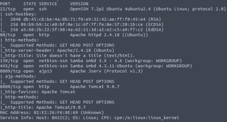 TryHackMe Basic Pentesting Walkthrough - Bug Hacking