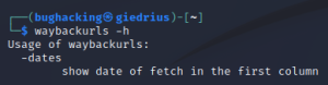 Waybackurls: A CLI Wayback Machine Solution for Fetching Webpages - Bug Hacking