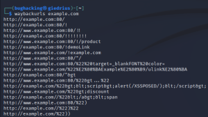 Waybackurls: A CLI Wayback Machine Solution for Fetching Webpages - Bug Hacking